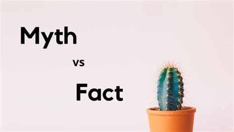 Debunking 7 Common Microlearning Myths