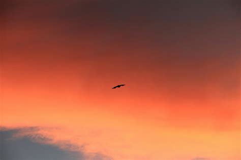 Wayne Chen Photography