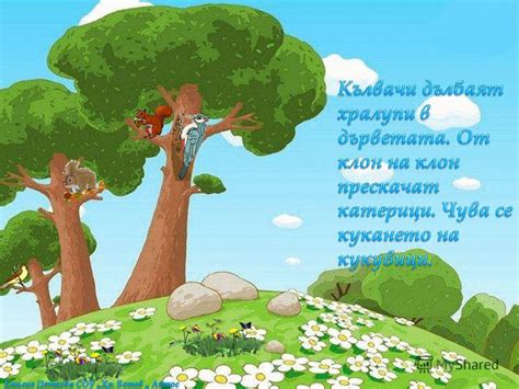 Презентация на тему Емилия Петкова Човекът и природата ІІІ клас Част от животните обитават