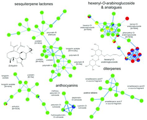Molecular Networking Of Yacón Extracts Based On Metabolic Download Scientific Diagram