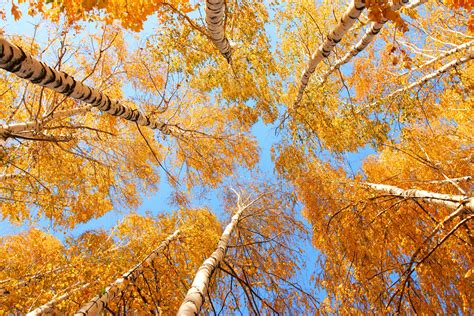 Decorative Light Panels — Artline Ltd