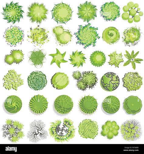 Trees And Bush Item Top View For Landscape Design Vector Icon Stock