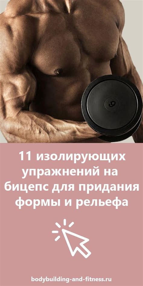 11 изолирующих упражнений на бицепс для придания формы и рельефа Бицепс Тренировка бицепсов