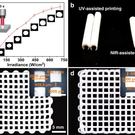 The Differences Between Varied Photopolymerization Conditions A The Download Scientific Diagram