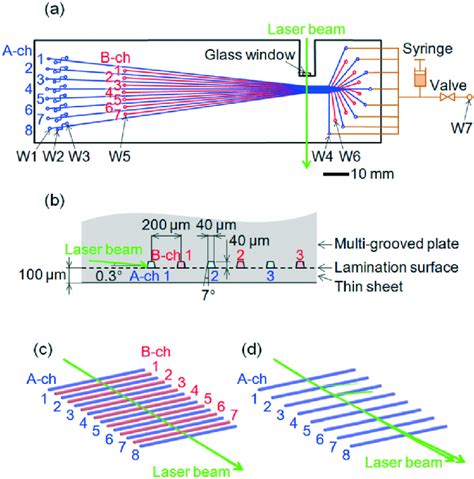 Design Of A Multi Channel Plastic Microchip A Top View Of The Download Scientific Diagram