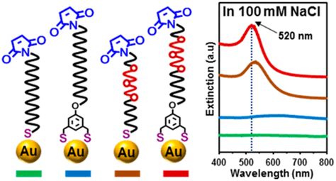 Robust Maleimide Functionalized Gold Surfaces And Nanoparticles