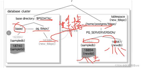 Pg数据库学习知识要点分析 1pg数据库表oid Csdn博客