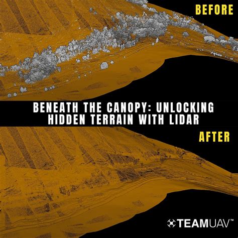 Team Our Advanced Lidar Technology Cuts Through Dense Vegetation Revealing The Terrain