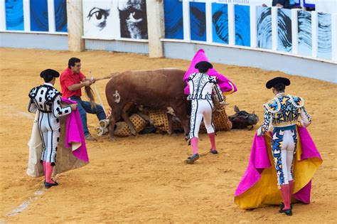 Free Images Performance Bullring Tradition Bullfighting Fair