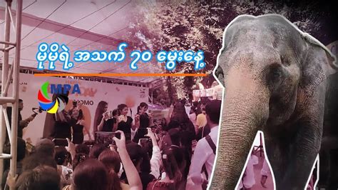 မိုမိုရဲ့ အသက် ၇၀ မွေးနေ့ Youtube