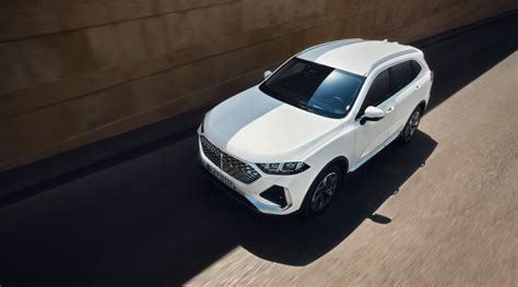 Gwm Wey 03 Mazda Hyundai Und Gwm Händler