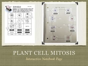 Interactive Notebook Biology Science Set By FUNderstanding Science