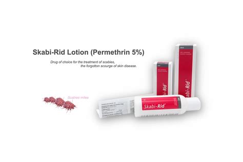 Dr Scabies Natural Scabies Treatment Limited Time Only Take This