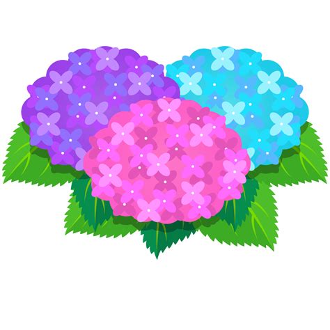 商用フリー・無料イラスト あじさいの花（紫陽花）紫・ピンク・水色 Ajisai13 商用ok フリー素材集「ナイスなイラスト」
