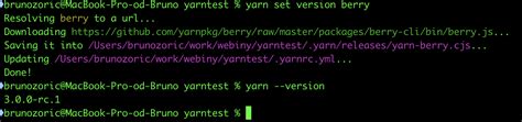 Bug Wrong Version Set With Yarn Set Version Berry · Issue 2741 · Yarnpkgberry · Github