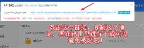 转载IDM 迅雷下载BT磁力迅雷官方最新版11 3 3 1842 出处 吾爱破解论坛 IDM未测试未修复加上有缺陷