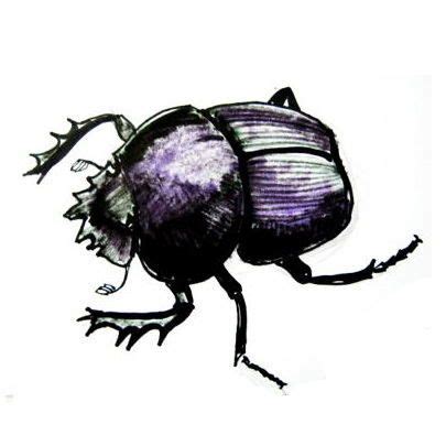 How To Draw A Sacred Scarab Beetle Scarab Beetle Drawings Scarab