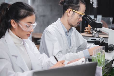 과학 실험실에서 유기농 자연 허브 식물과 의학 화학 연구 유리 제품에 화장품 추출물 액체 화학 오일 미용 의료 케어 혈청 제품 실험의 잎 생물학 2명에 대한 스톡 사진 및