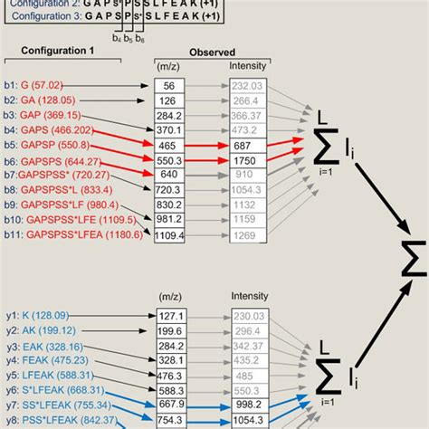 A Diagram Showing The Concept Behind The Dynamic Programming Algorithm Download Scientific