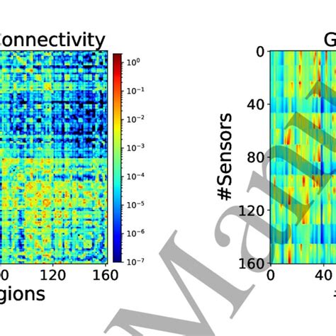 A Structural Connectivity Matrix Of A Patient Whose Entries Download Scientific Diagram