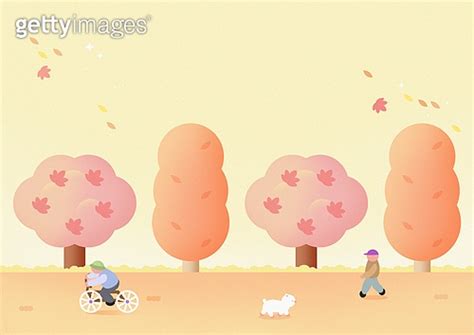 자연 주제 계절 풍경 컨셉 가을 단풍나무 이미지 Jv12107368 게티이미지뱅크