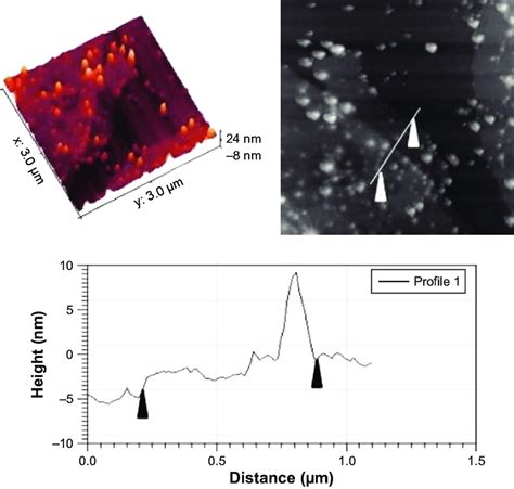 Atomic Force Microscopy Of Graphene Oxide Operated By Magnetite