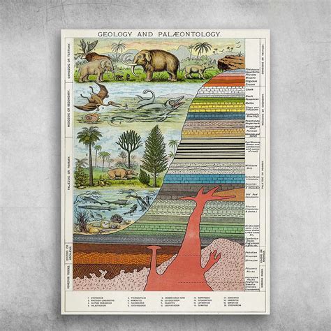 Geology And Palaeontology Cenozoic Or Tertiary Mesozoic Or Secondary