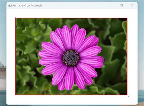 Cropping Tool Rdotnet