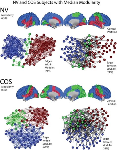 An Illustration Of Modularity Using Representative Brain Networks From