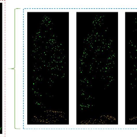 segmented point cloud of 8 plot and the segmented single trees are