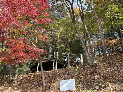 かざこし子どもの森公園 Hiroちゃんさんの風越山（権現山）・虚空蔵山の活動データ Yamap ヤマップ