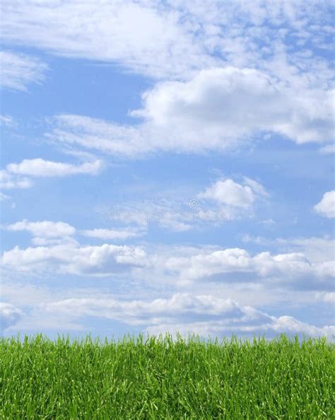 Blue Sky Green Grass Background