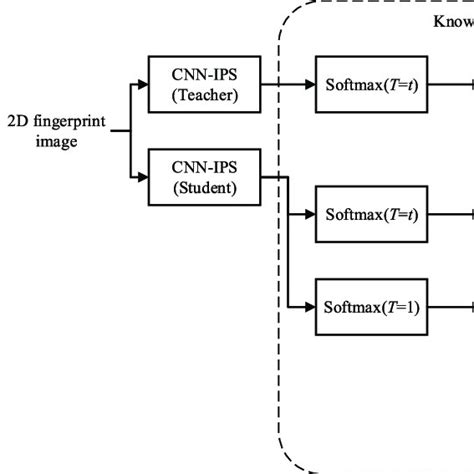 Block Diagram Of The Proposed Knowledge Distillation Framework For