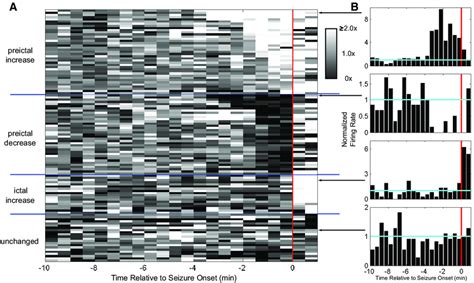 Seizure Related Granule Cell Activity Patterns Are Heterogeneous Download Scientific Diagram