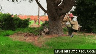 Tree Swing On Tumblr