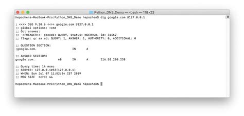 写一个 DNS 服务器 Learn Python