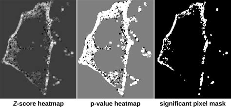 Spatially Adaptive Colocalization Analysis — Scijava Ops Documentation