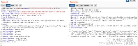 Go工具开发｜基于网站api的子域名与ip反查工具（一）域名反查ip的方法 Csdn博客