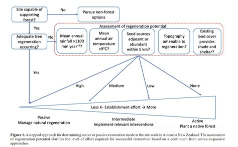 Knowing When Native Regeneration Is For You And What You Should Do About It Wilding Pine
