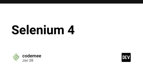 selenium 4 的使用 dev community