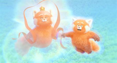 青春变形记 这么可爱的小熊猫，谁能不爱… 堆糖，美图壁纸兴趣社区