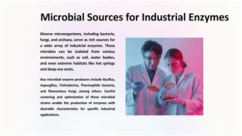 Microbial Enzymes In Industrial Biotech Ppt