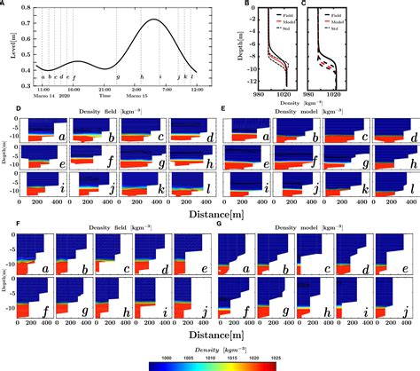 Frontiers The Effect Of Waves In Hydrodynamics Stratification And Salt Wedge Intrusion In A
