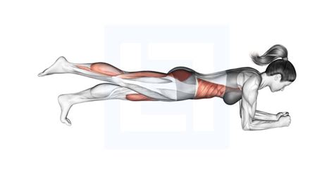 Resistance Band Side Plank Guide Benefits And Form
