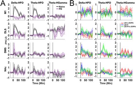 Ketamine Induced Cross Frequency Coupling In Naïve 6 Ohda Lesioned Download Scientific