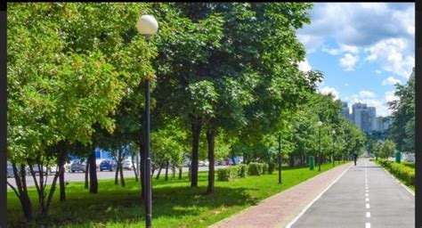 Создать мем пожарно спасательный колледж санкт петербургский выпуск 2011 парковка фергана894