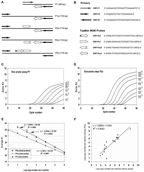 Rt Pcr Assay Design And Performance Download Scientific Diagram