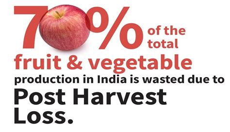 Dczzdnxv Fruits And Vegetables Processing Lines Ss