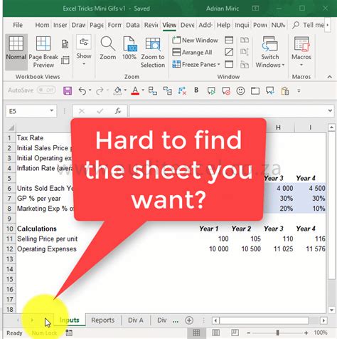 Excel Skills Assessment Report Instructions AuditExcel Co Za