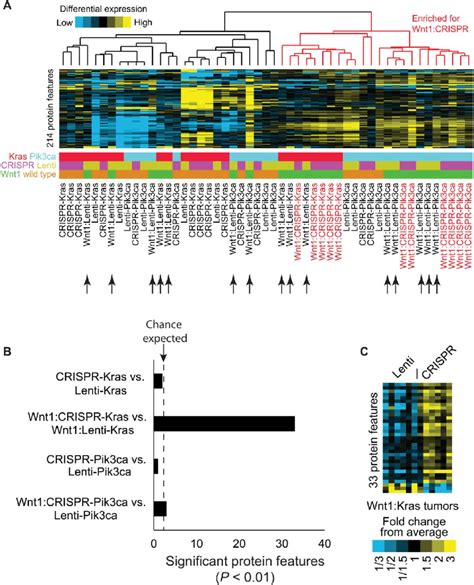 rppa comparison of tumors generated by proto oncogene editing and